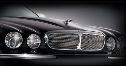Jagbits Jaguar Parts: MESH GRILLE INSERT SET OF TWO C2C11804